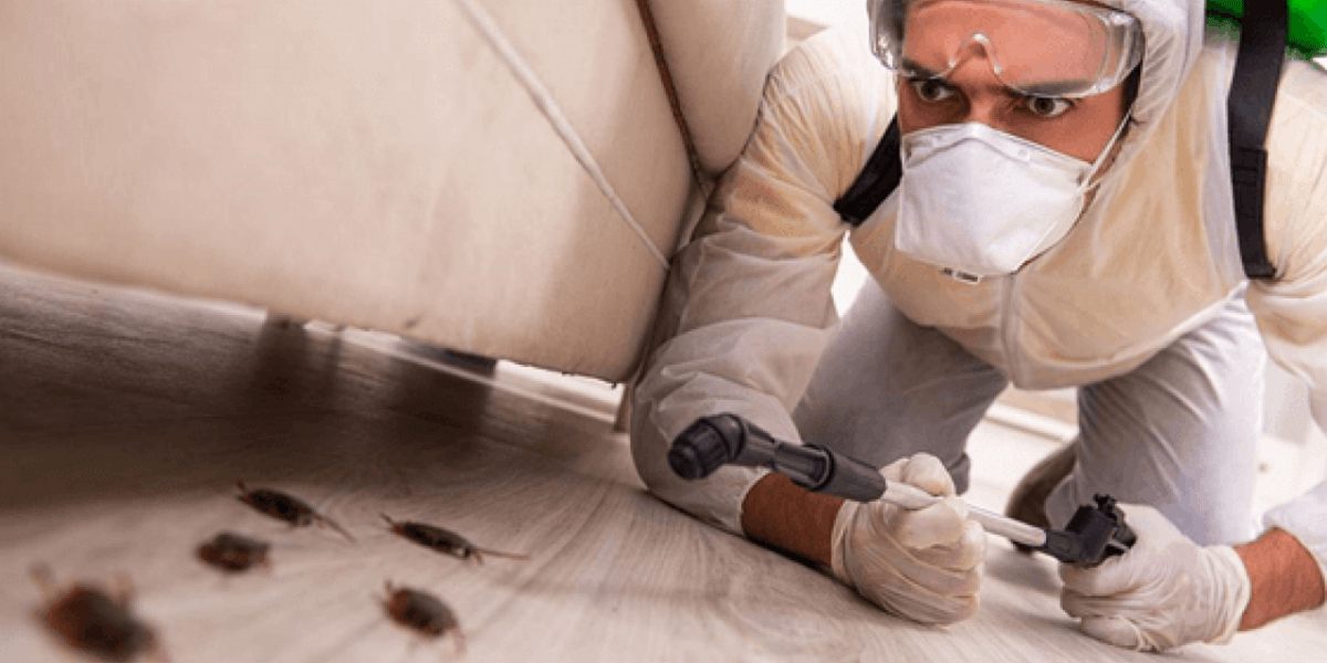 Pest Control Tips for Moving Into a New Home in Shah Alam - EmptyLightHome