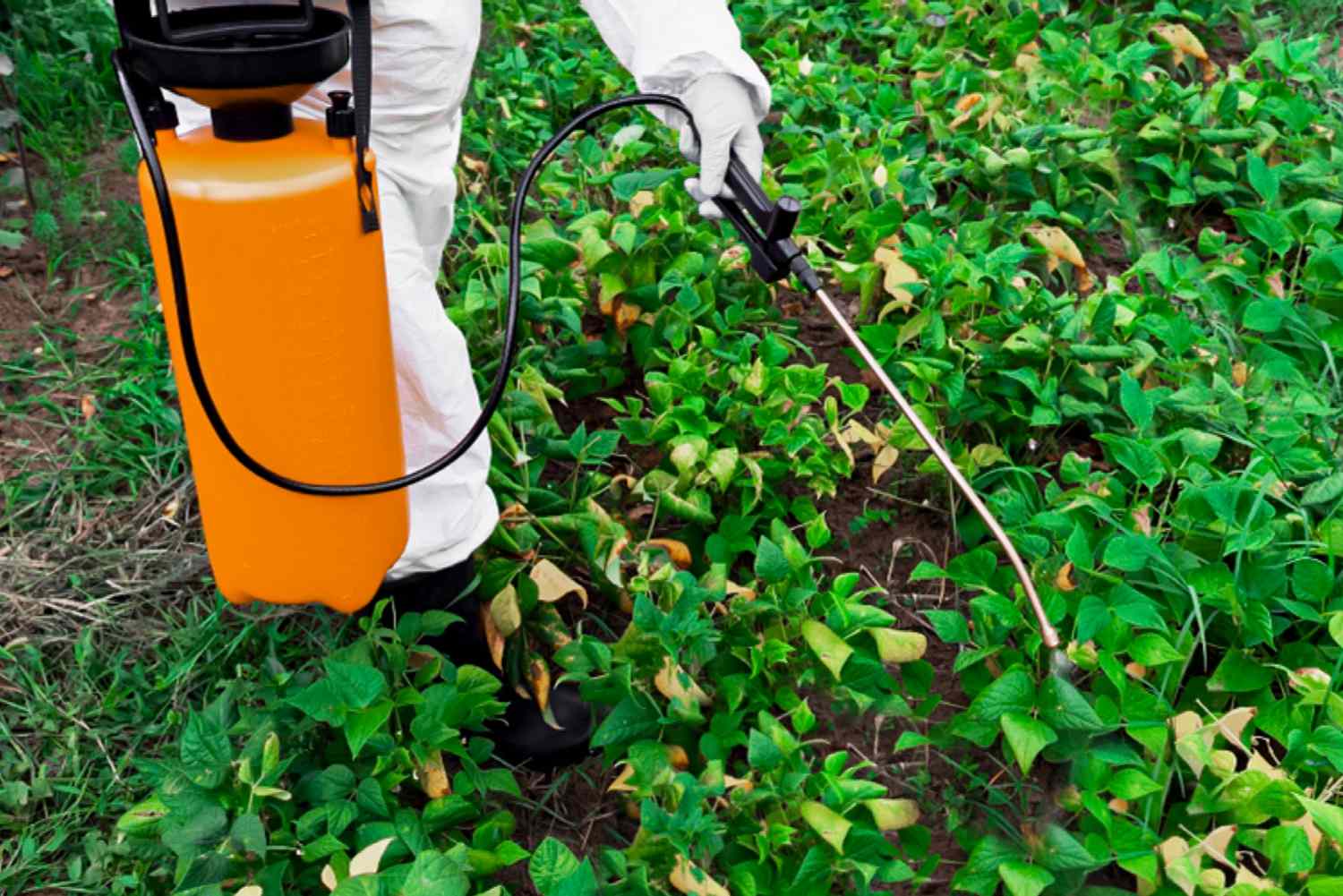 Maintaining Your Garden with Herbicide - EmptyLightHome