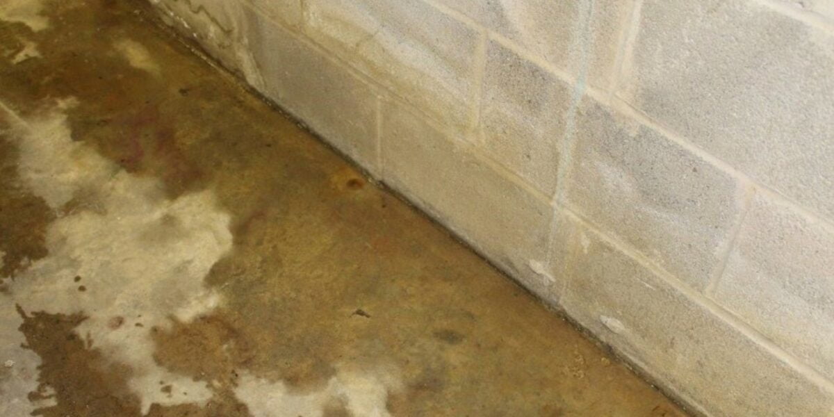 Understanding Basement Leaks - Causes, Effects, and Solutions ...
